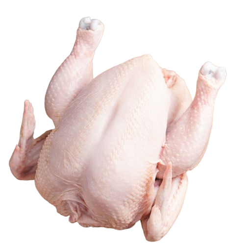 Polskamp — Poultry Processing Leader